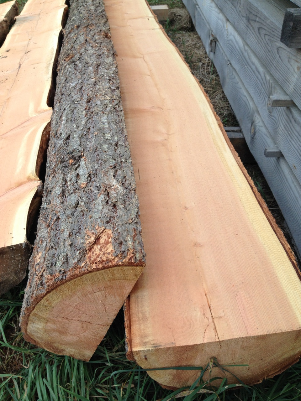 Douglas fir half logs